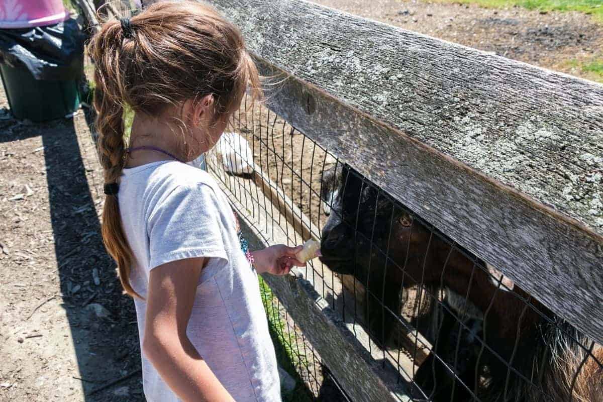 10+ Ideas For A Block Island Day Trip - Daily Life Travels