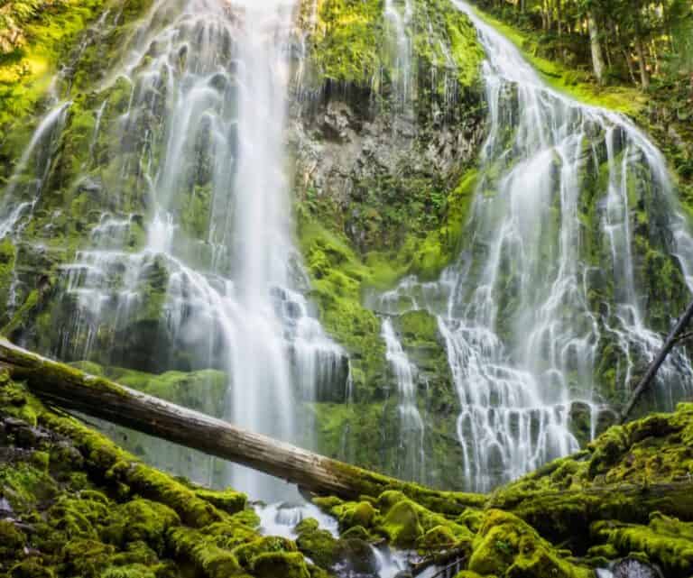 10+ Must-See Waterfalls Near Bend Oregon - Daily Life Travels