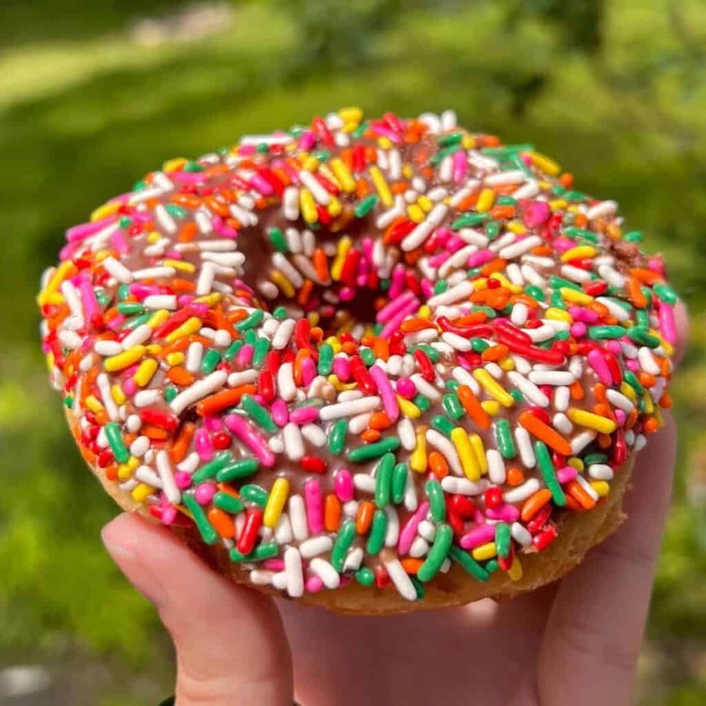 Best Donuts in Connecticut - Daily Life Travels