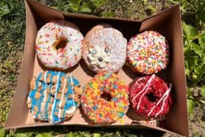 Best Donuts in Connecticut - Daily Life Travels