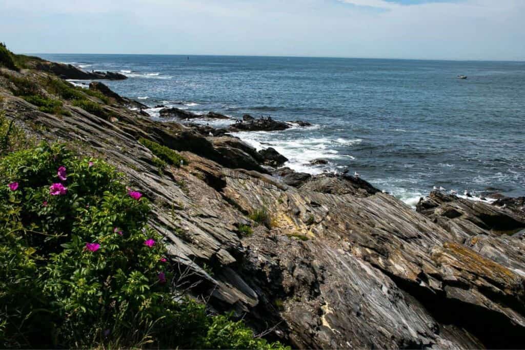 Beavertail State Park RI - Daily Life Travels