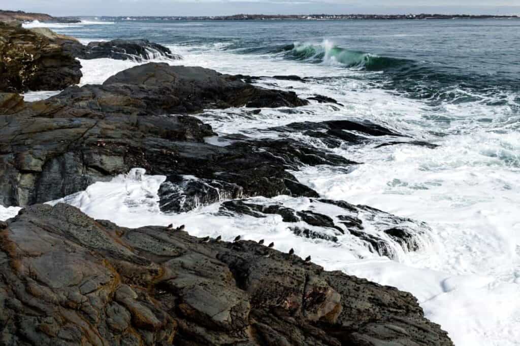 Beavertail State Park RI - Daily Life Travels