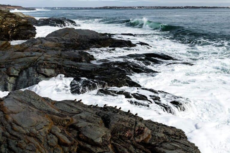 Beavertail State Park RI - Daily Life Travels