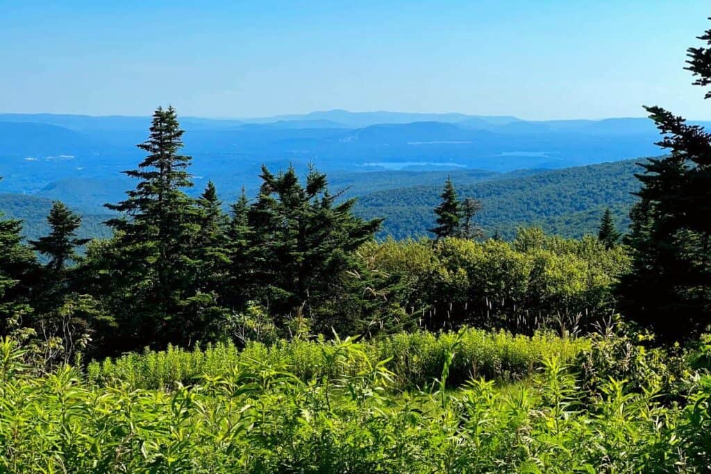 Mount Greylock Drive to the Summit - Daily Life Travels