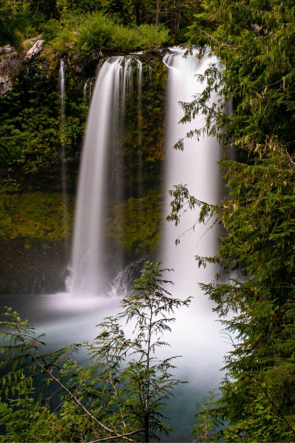 Koosah and Sahalie Falls Trail - Daily Life Travels