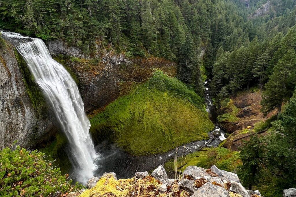 Salt Creek Falls - Daily Life Travels