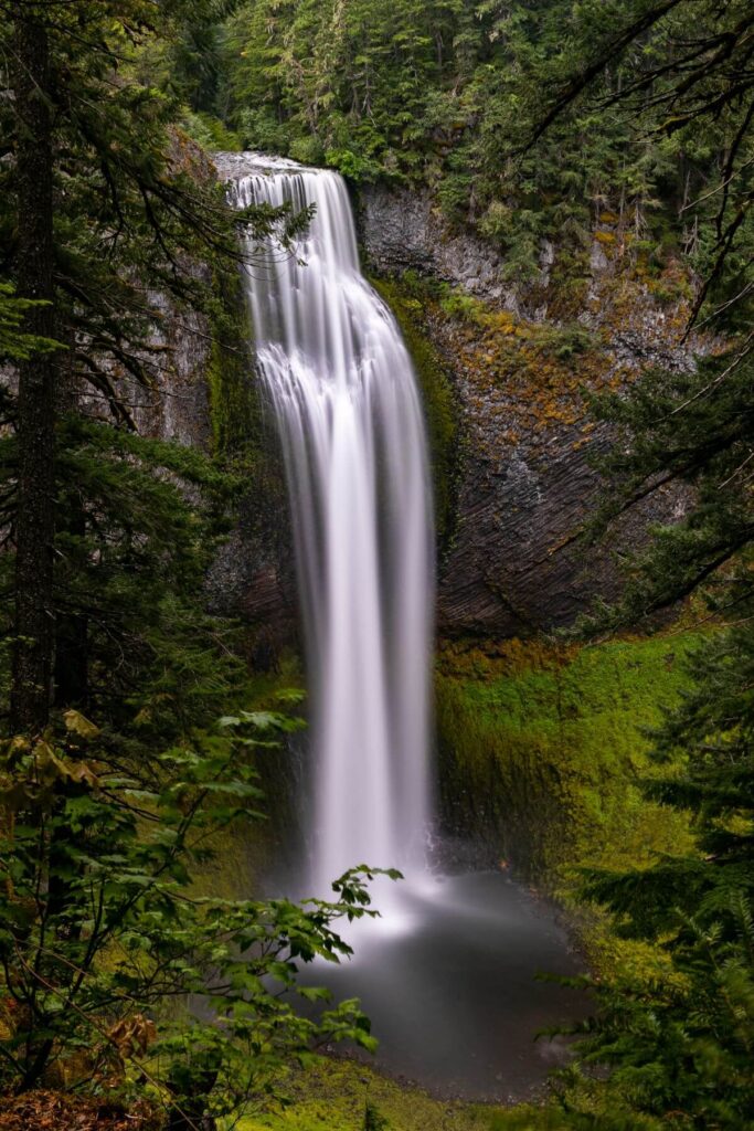 Salt Creek Falls - Daily Life Travels