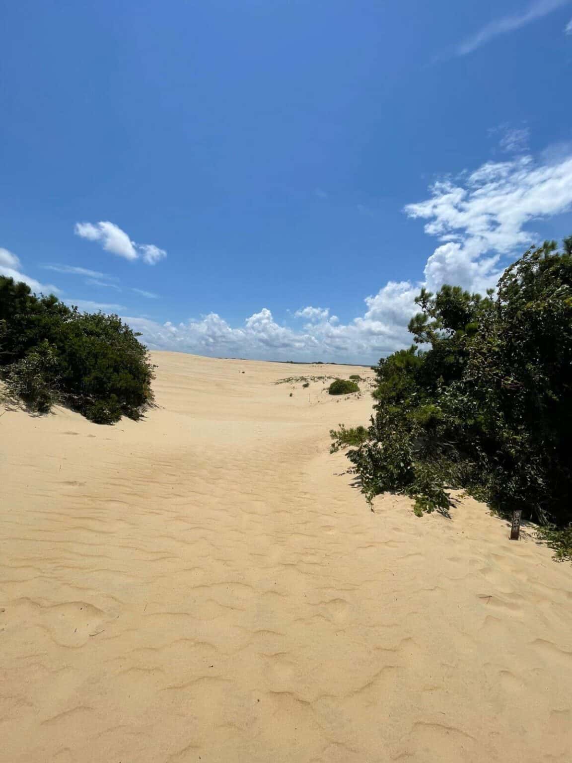 Jockey's Ridge State Park in Outer Banks NC - Daily Life Travels