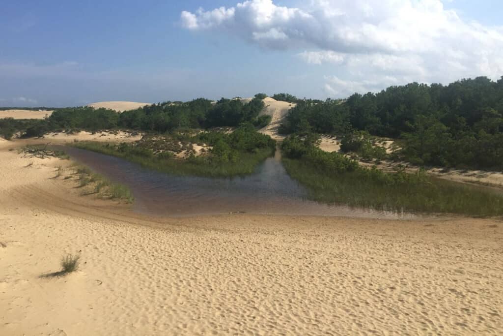 Jockey's Ridge State Park in Outer Banks NC - Daily Life Travels