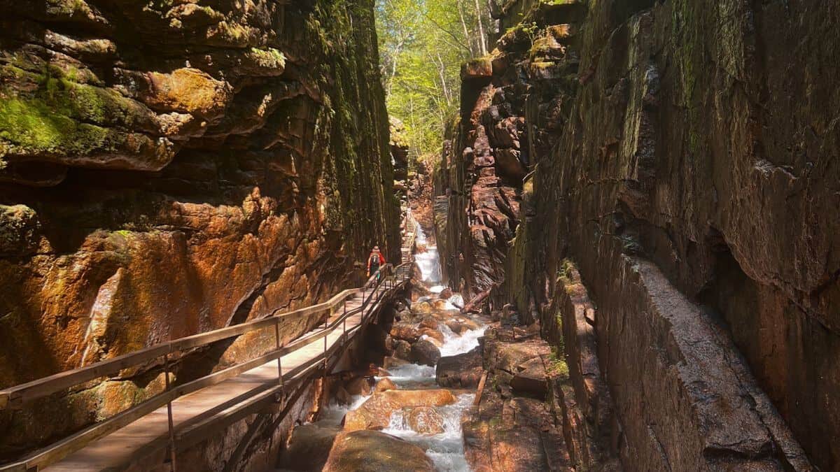 Explore the Natural Wonder of Flume Gorge in New Hampshire - Daily Life Travels
