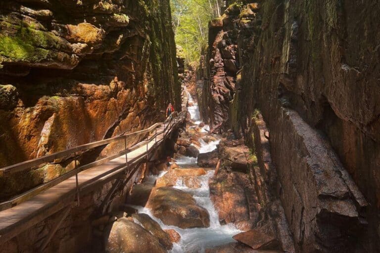 Explore the Natural Wonder of Flume Gorge in New Hampshire - Daily Life Travels