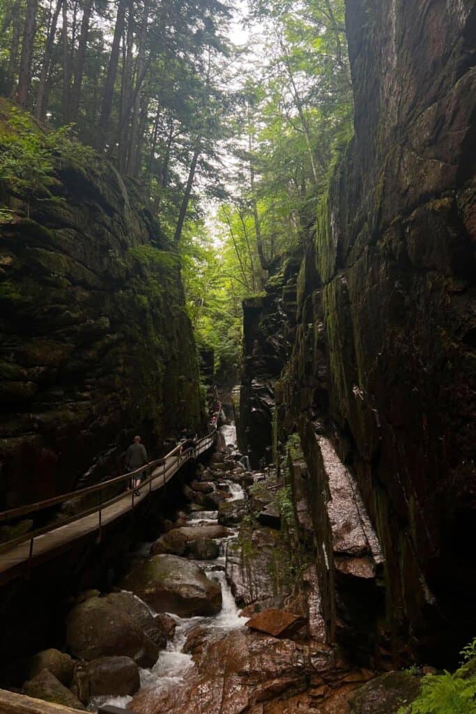 Explore the Natural Wonder of Flume Gorge in New Hampshire - Daily Life ...