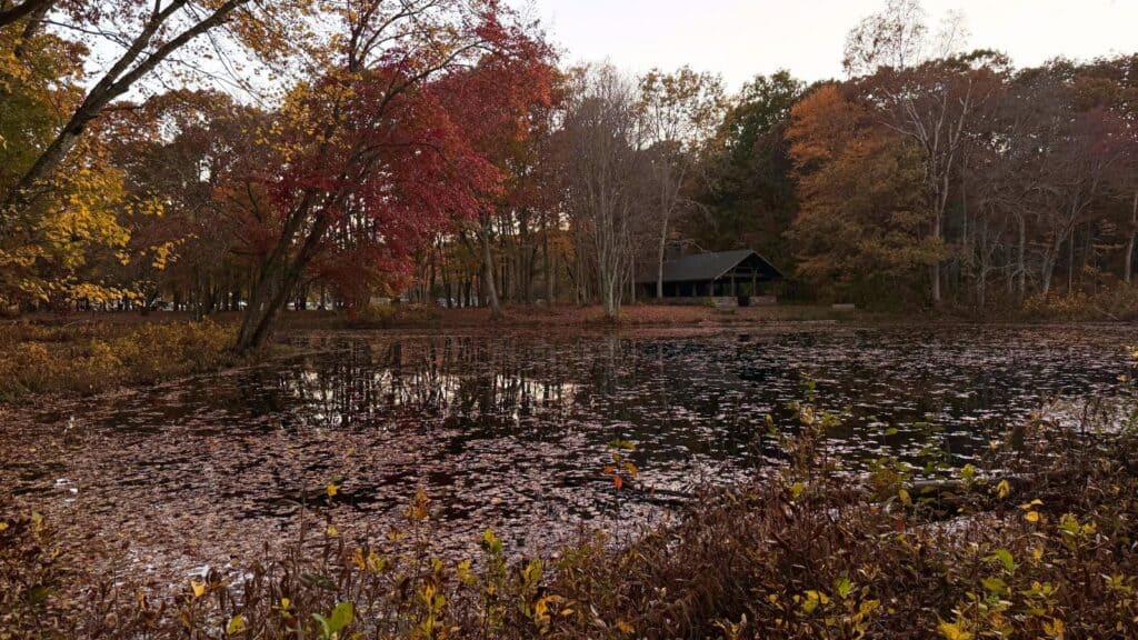 Things To Do In Old Saybrook, CT - Daily Life Travels