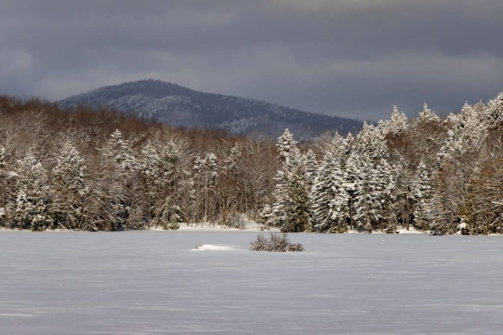 A Quick Winter Getaway to Vermont - Daily Life Travels