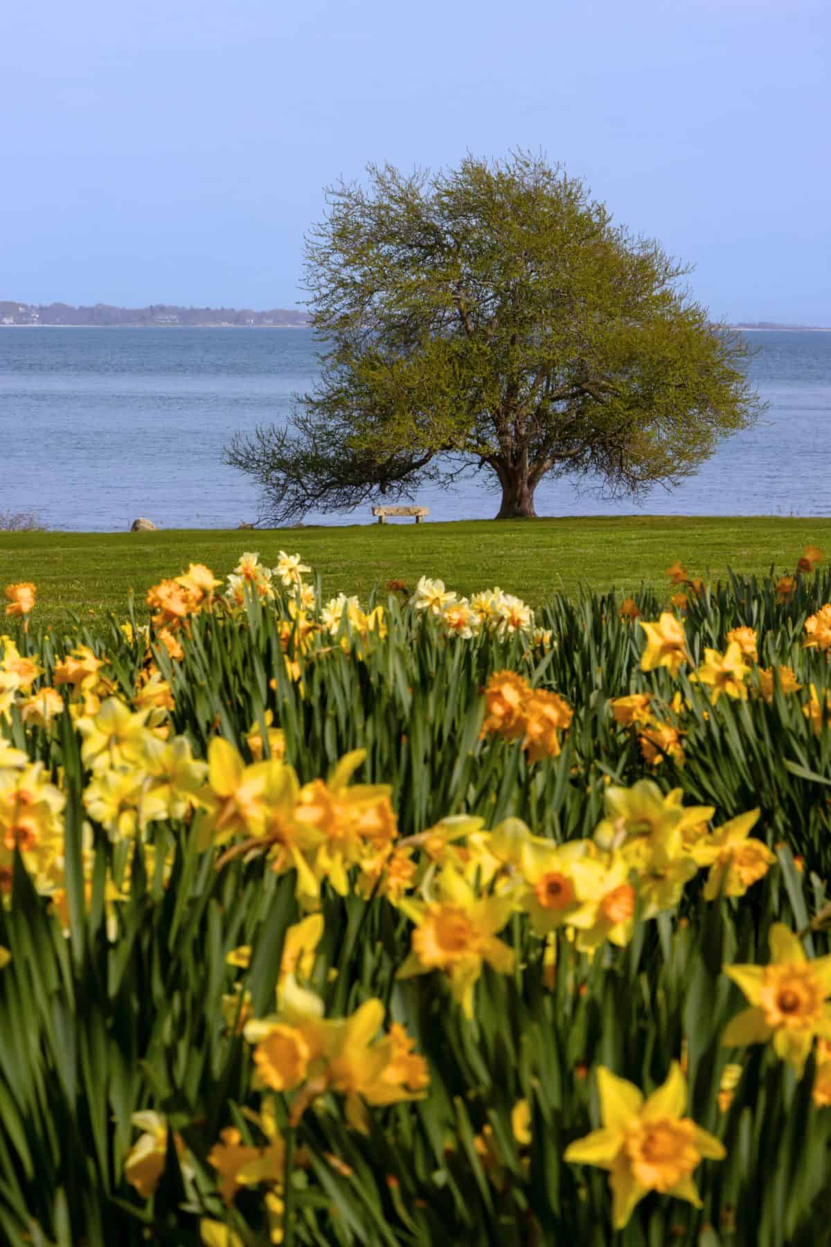 Harkness Memorial State Park in Connecticut - Daily Life Travels