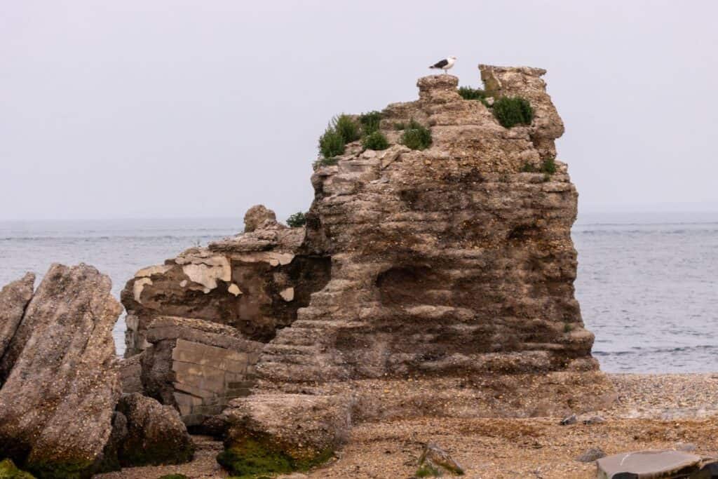 Sunset Cruise and Seal Watch with Blackhawk Fishing - Daily Life Travels