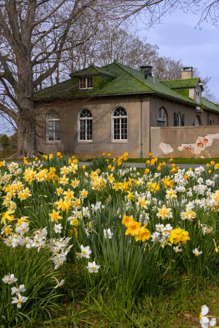 Harkness Memorial State Park in Connecticut - Daily Life Travels