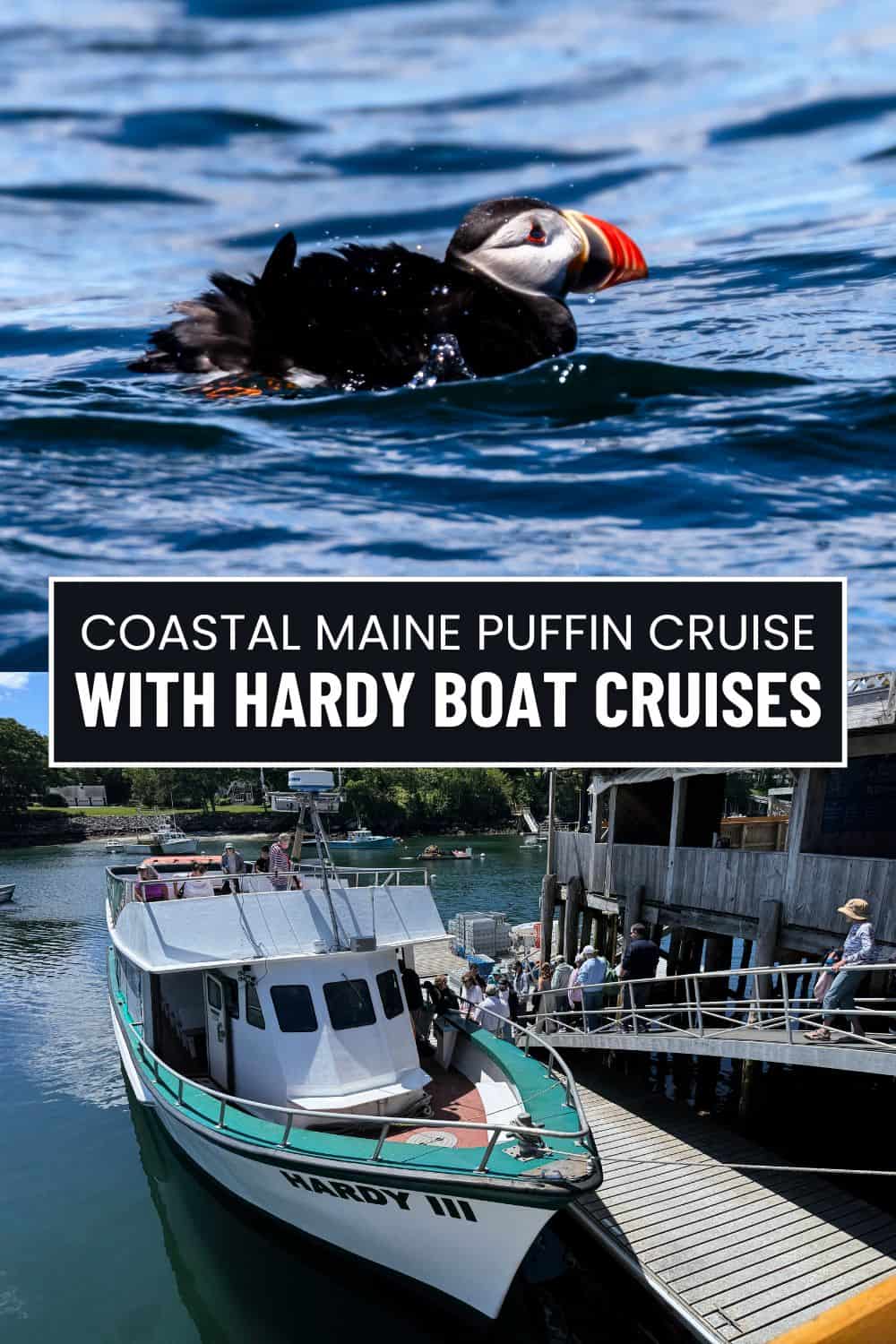 Taking a Puffin Cruise With Hardy Boat Cruises in Maine - Daily Life Travels