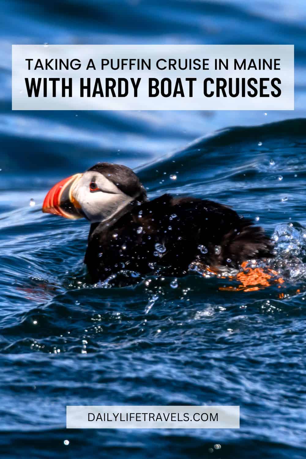Taking a Puffin Cruise With Hardy Boat Cruises in Maine - Daily Life ...