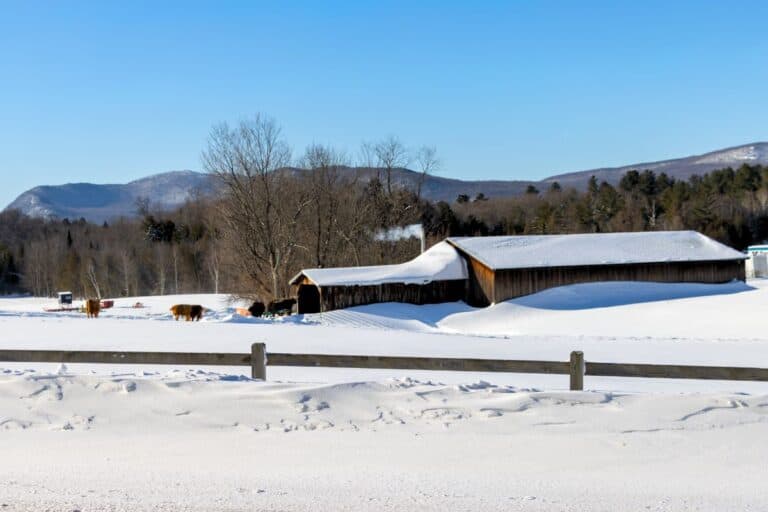 Winter Day Trip To Southern Quebec from New England - Daily Life Travels